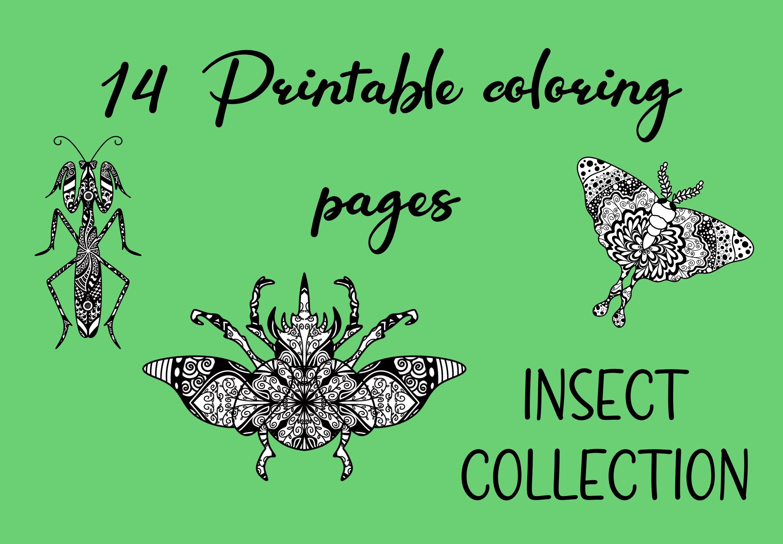 14 Printable Coloring Pages! Bug Themed Mandala Designs With Elements ...