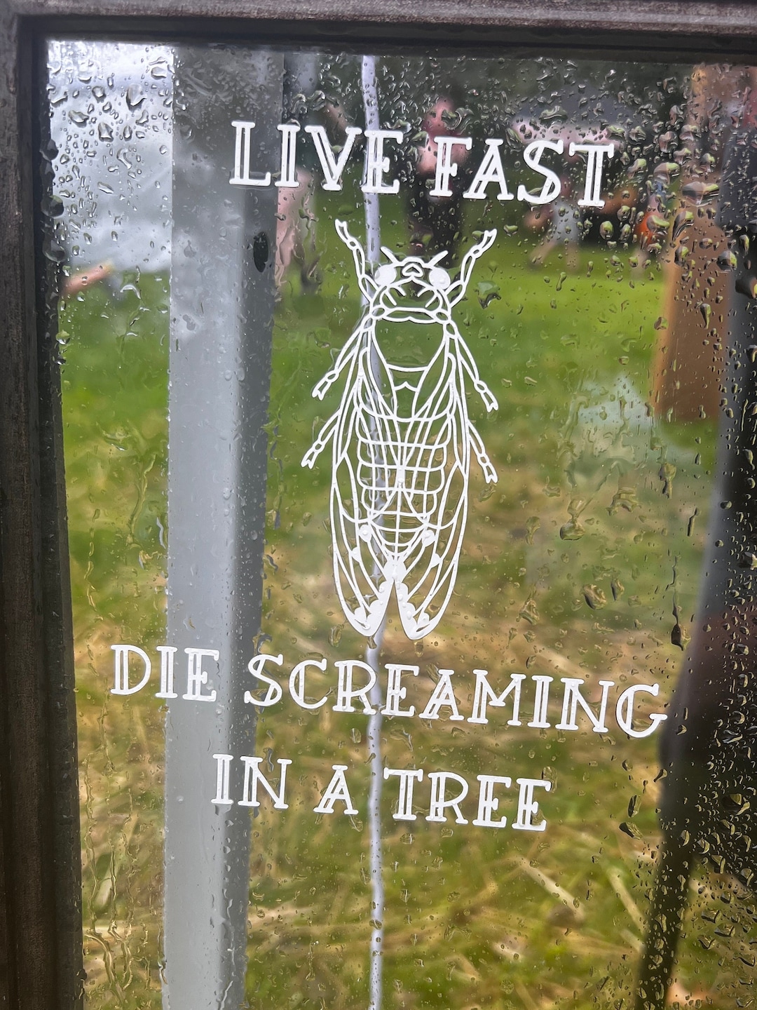 Live Fast Die Screaming in a Tree Car Decal Vinyl Funny Cicada Gift for ...