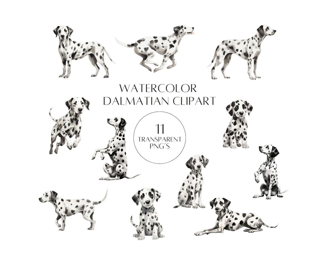 Watercolor Dalmatian Dog Clipart: 11 PNG Art Images (digital Download ...