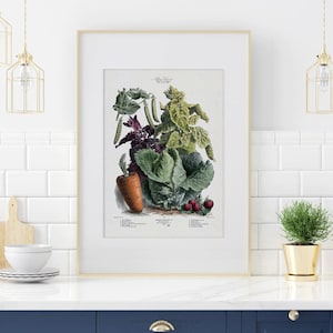Vegetable Garden Kitchen Wall Art Set of 3 | Kitchen Decor | Vintage ...