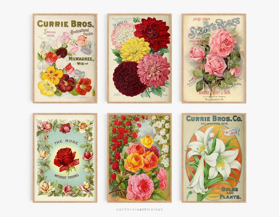 Vintage Flower Gallery Wall Art Set Vintage Botanical Prints Neutral ...