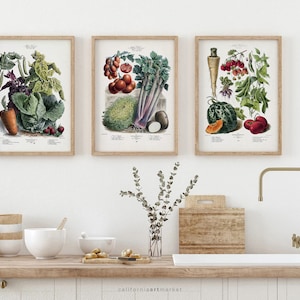 Vegetable Garden Kitchen Wall Art Set of 3 | Kitchen Decor | Vintage ...
