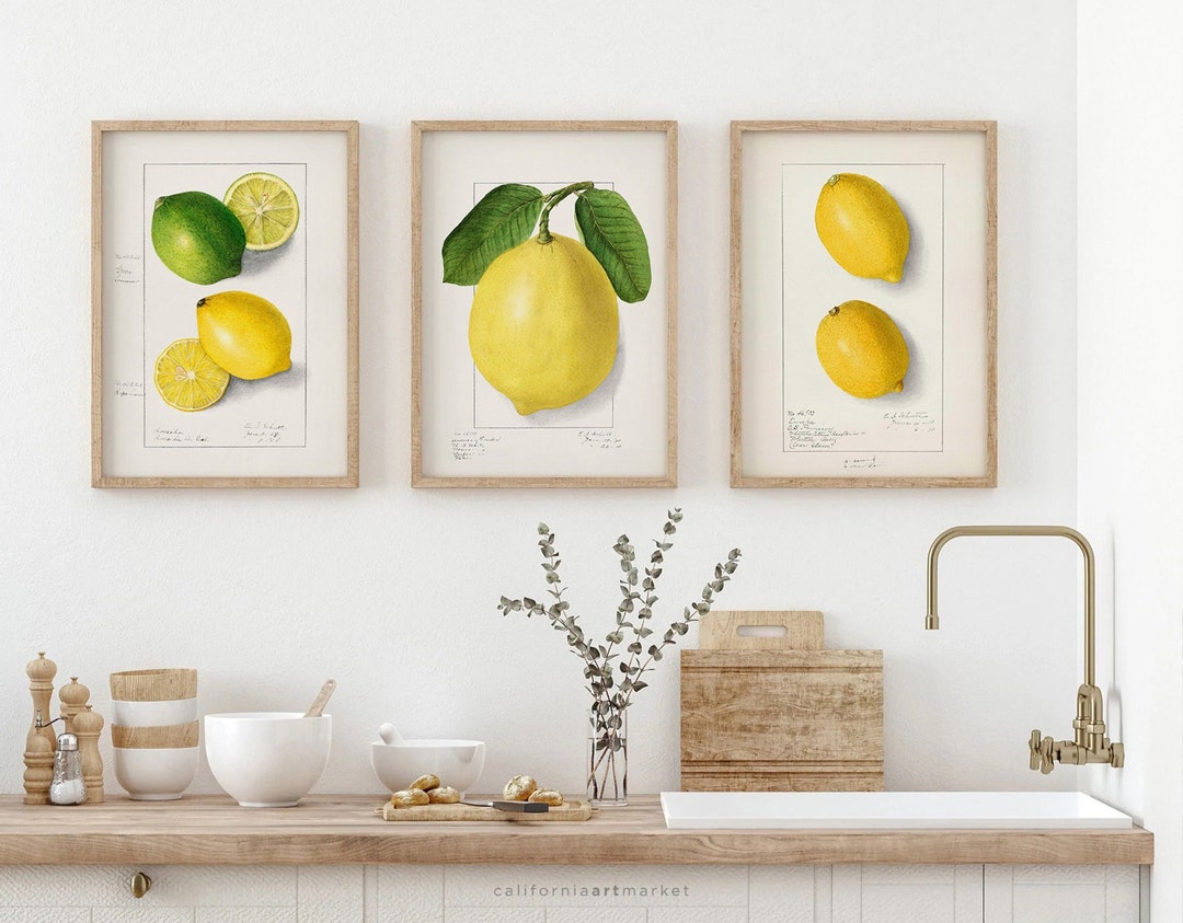 Set of 3 Lemon Art, Kitchen Wall Art, Lemon Illustration, Lemon Poster ...