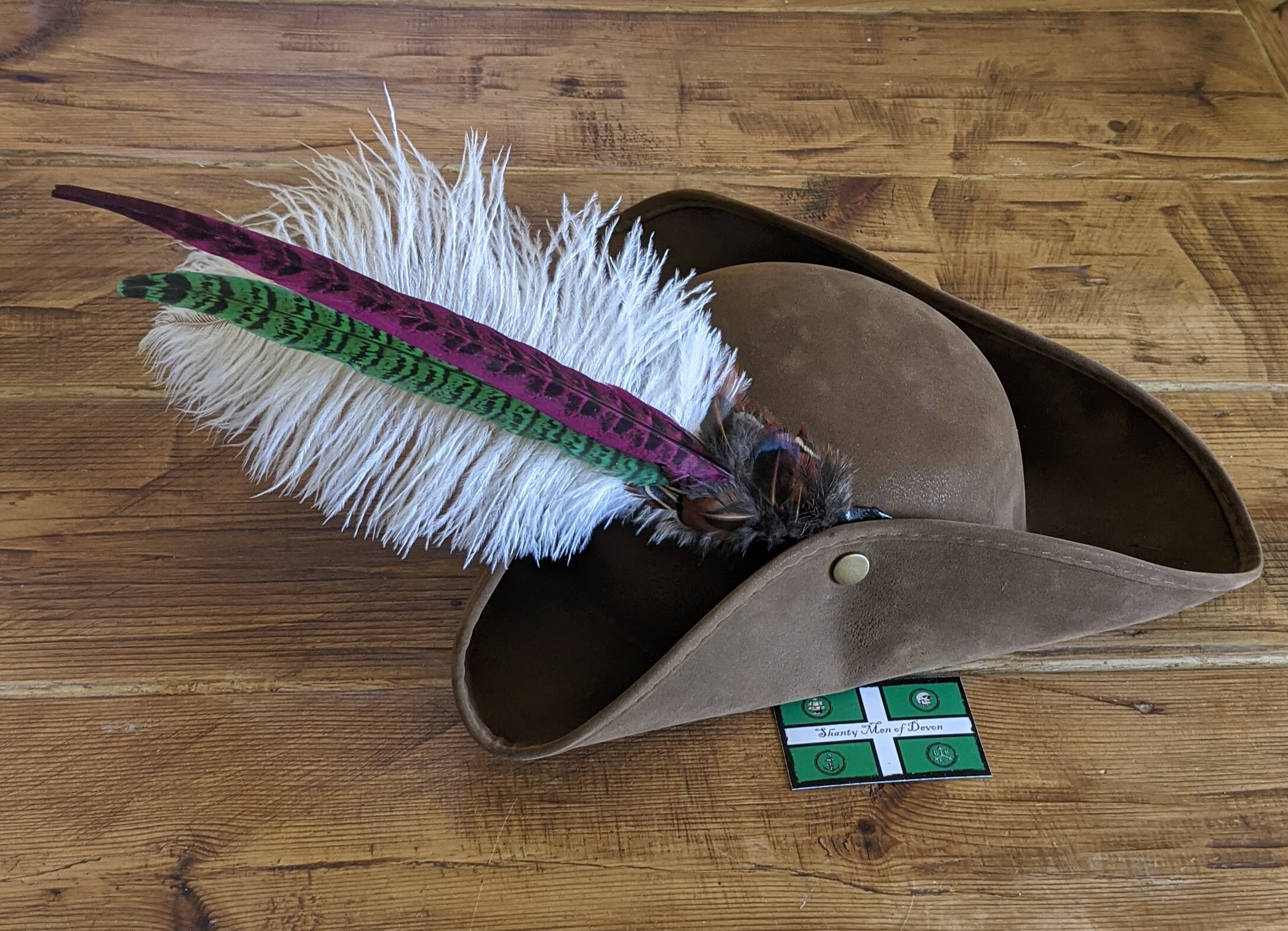 Pirate Hat With Feather
