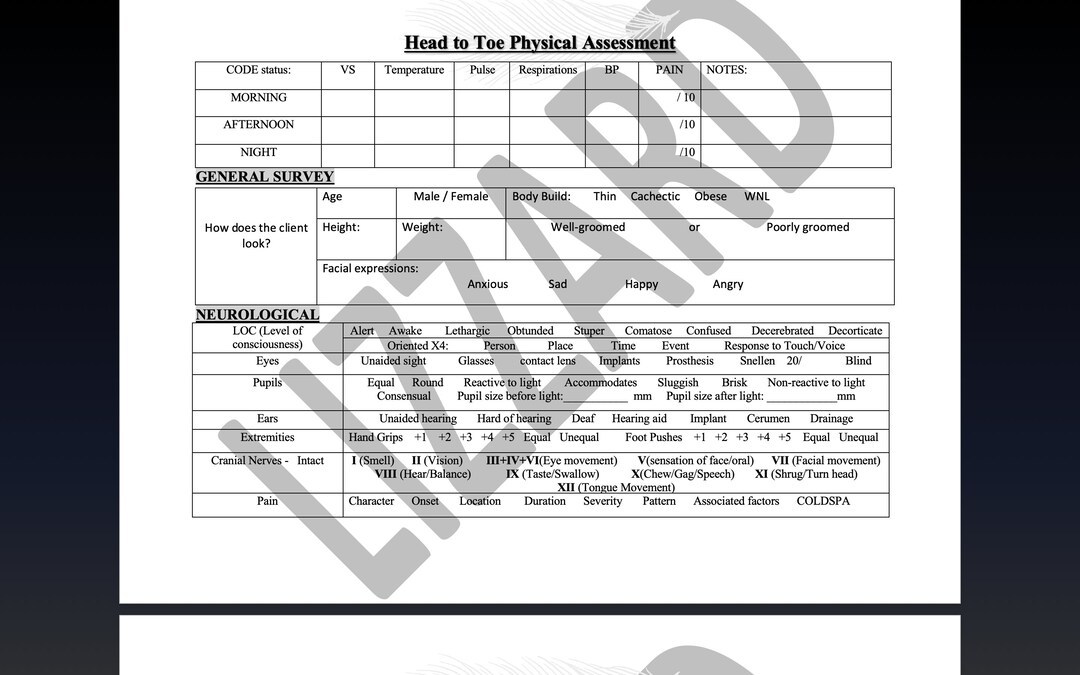 Head to Toe Detailed Assessment Paper - Etsy