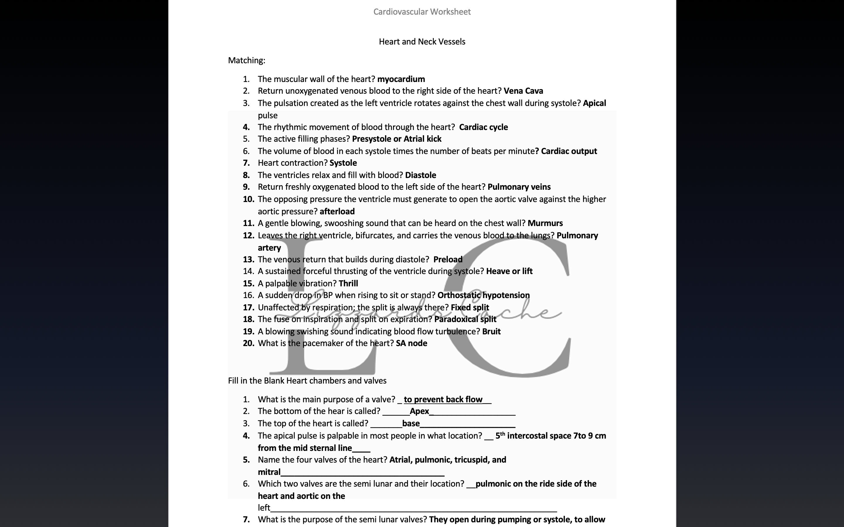 Cardiovascular Practice Worksheet W/ Answers (nursing Anatomy and ...