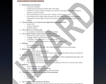 Renal / Urinary System Study Guide Nursing Student Notes Anatomy ...
