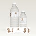 Teddy Bear Baby Shower Water Bottle Label, Editable Template (digital ...