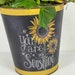 Burst of Sunflowers in a Galvanized Bucket to Let Someone Know - Etsy