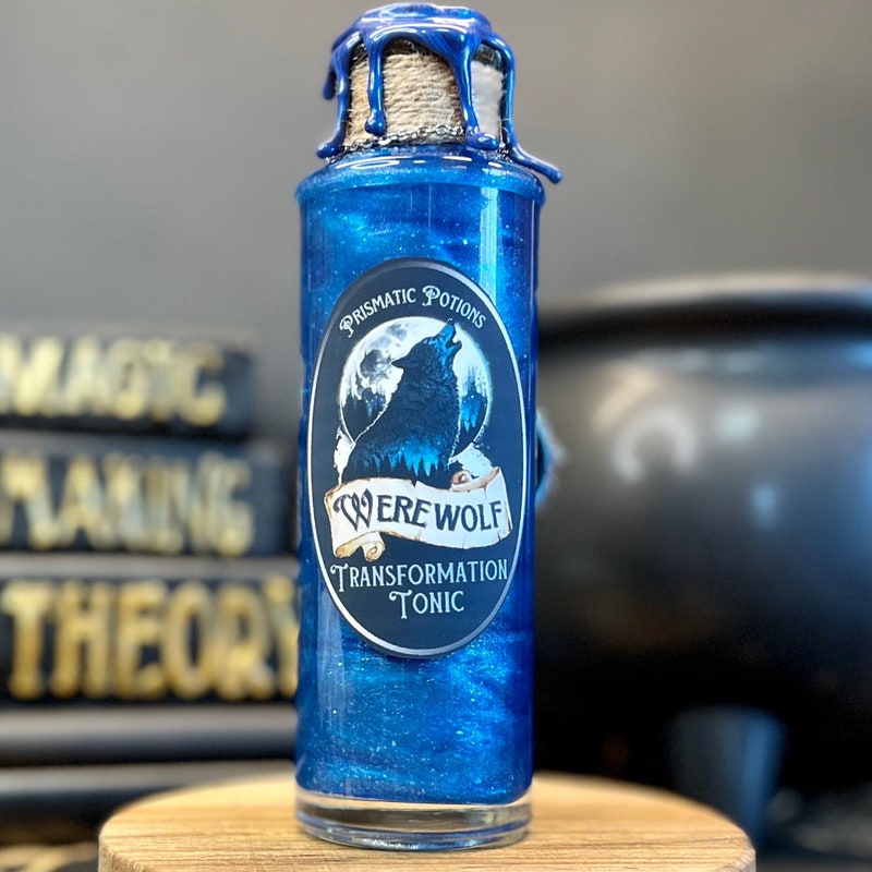 Werewolf Hunting Kit - Etsy