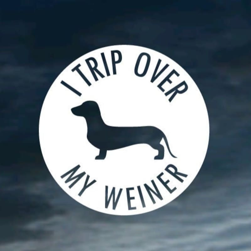 I Love My Weiner Shirt - Etsy