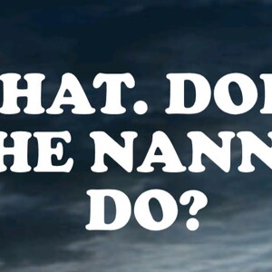 What. Does. the Nanny. Do Sister Wives Vinyl Car Decal FREE SHIPPING ...