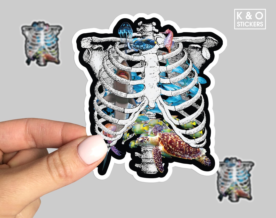 Rib Cage Anatomy Sticker, Ocean Rib Cage Sticker - Etsy