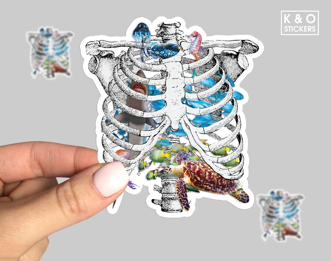 Rib Cage Anatomy Sticker, Ocean Rib Cage Sticker - Etsy