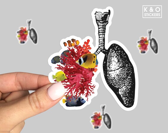 Human Lungs Sticker Anatomy Sticker Ocean Lungs Sticker - Etsy