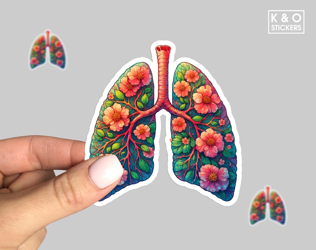 Anatomical Floral Lungs Sticker – Unique Medical Art Decal for Laptops ...