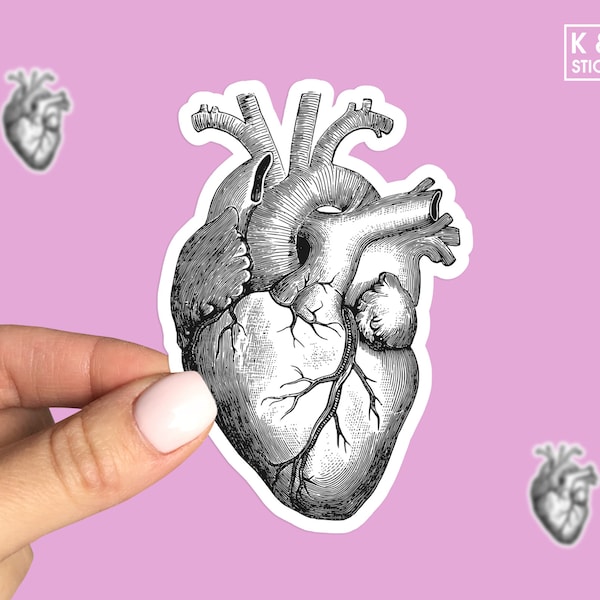 Anatomical Heart - Etsy