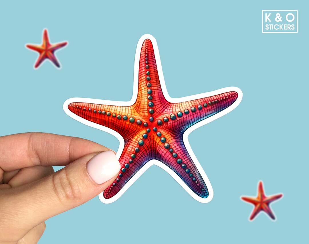 Starfish Sticker - Coastal Decor, Starfish Vinyl Decal, Ocean Theme - Etsy