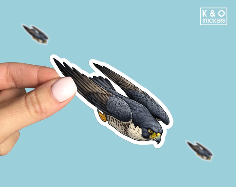 Peregrine Falcon Sticker – Diving Falcon Predator Art, Minimalist Bird ...