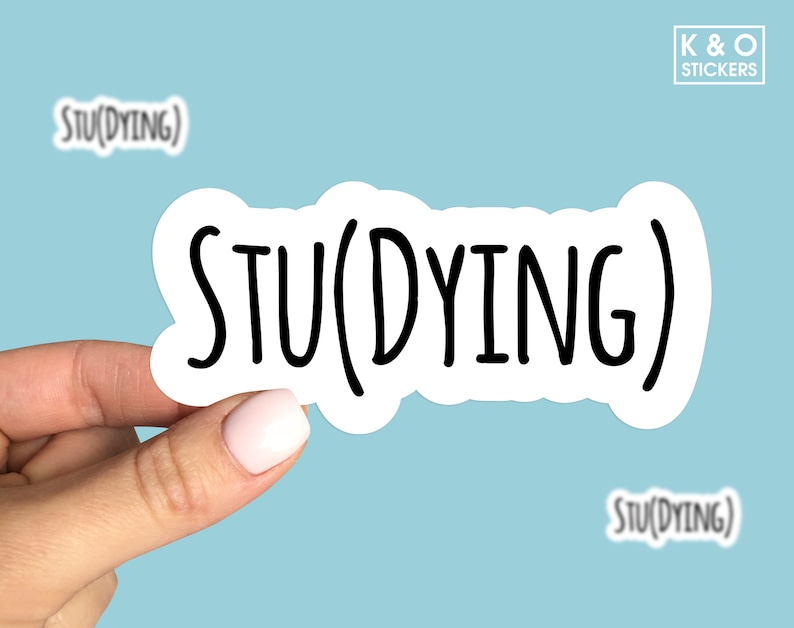 Studying Vinyl Sticker Funny Student Stickers College - Etsy