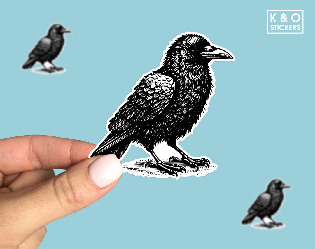 Crow Sticker - Detailed Bird Vinyl Decal for Nature Enthusiasts - Etsy