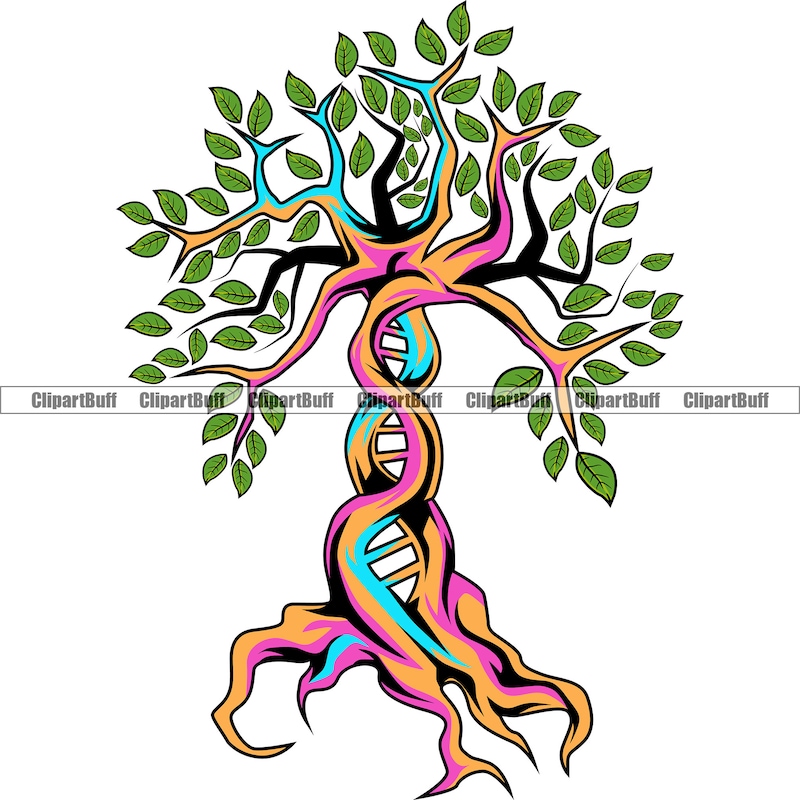 Dna Symbols and Family Trees - Etsy