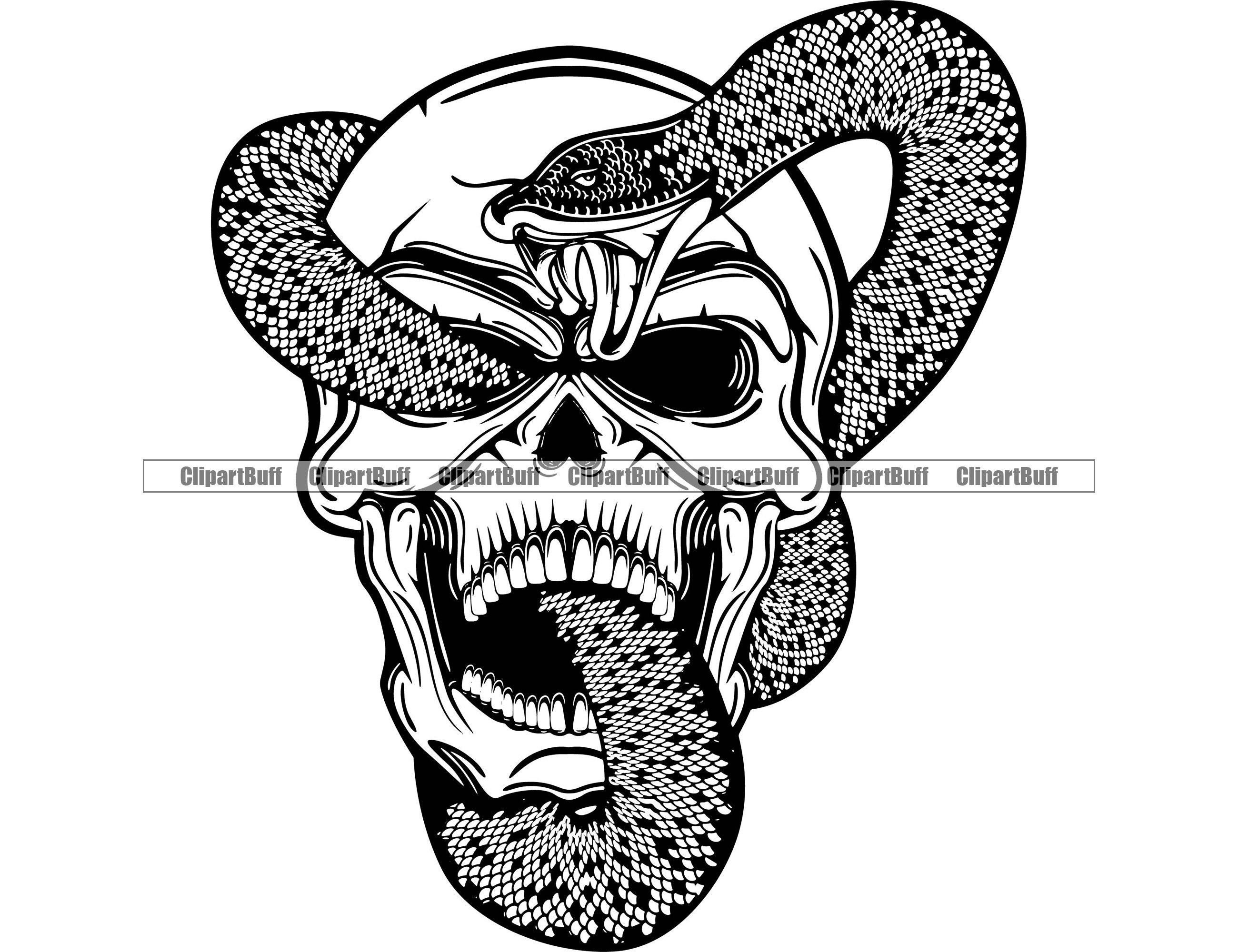 Rattlesnake Skeleton Vector