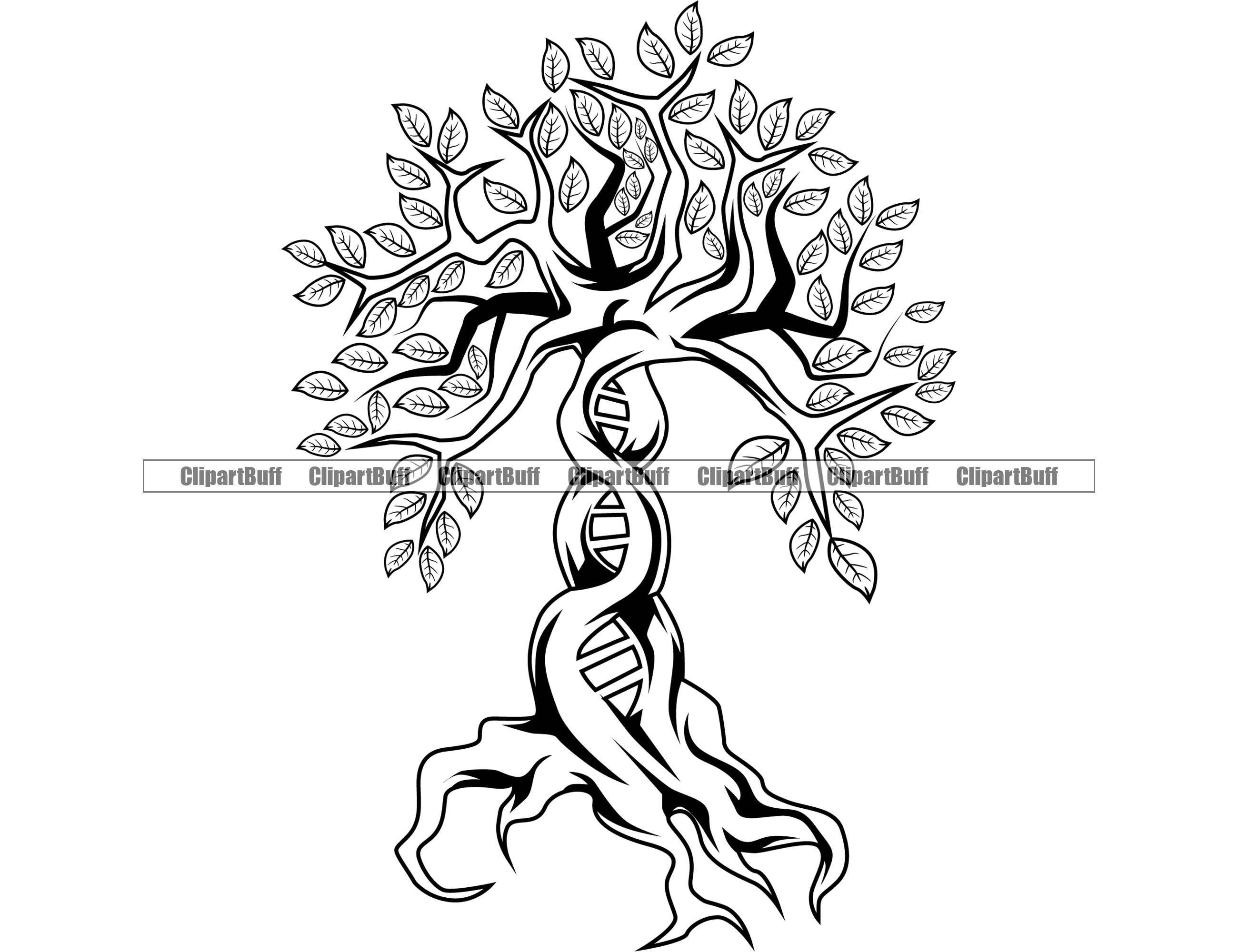 DNA Double Helix Family Tree Roots Rooted Strand - Etsy Australia