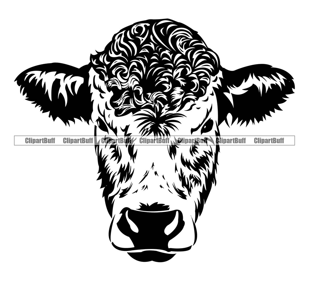 Cow Head Beef Heifer Animal Face Farm Dairy Wild Milk Barn Angus Cattle ...