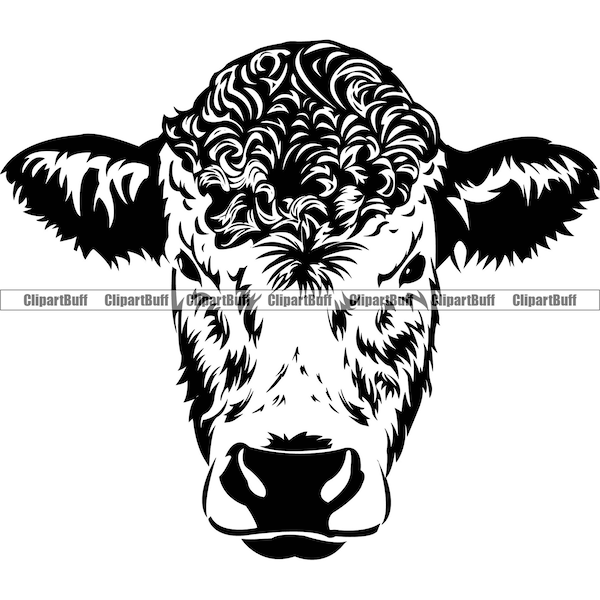 Angus Cattle Canvas - Etsy