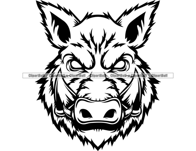 Boar Wild Hunt Hog Sports Mascot Animal Head Face Teeth Growl Forrest ...