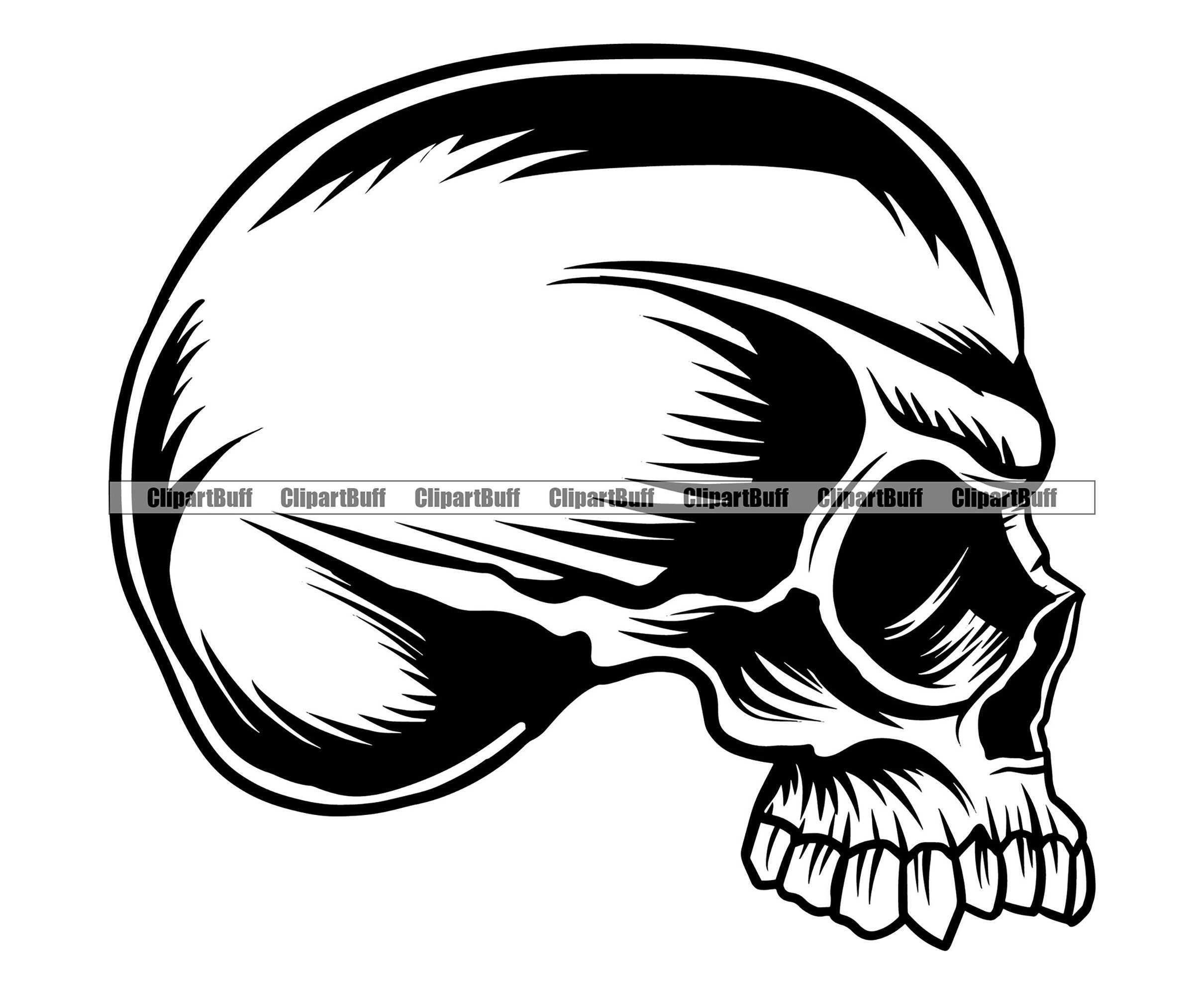 Skull Profile Drawing