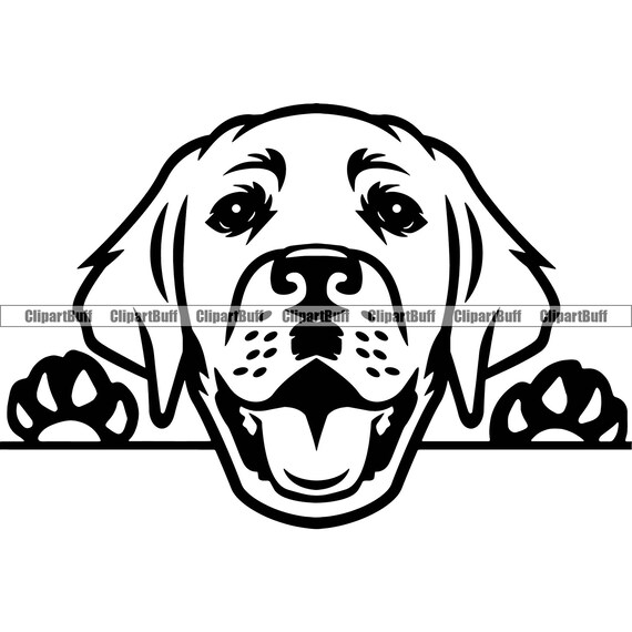 Labrador Retriever Lab Dog Breed Peeking Head Paws Animal Pet | Etsy