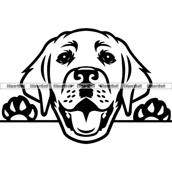 Peeking Lab Svg - Etsy