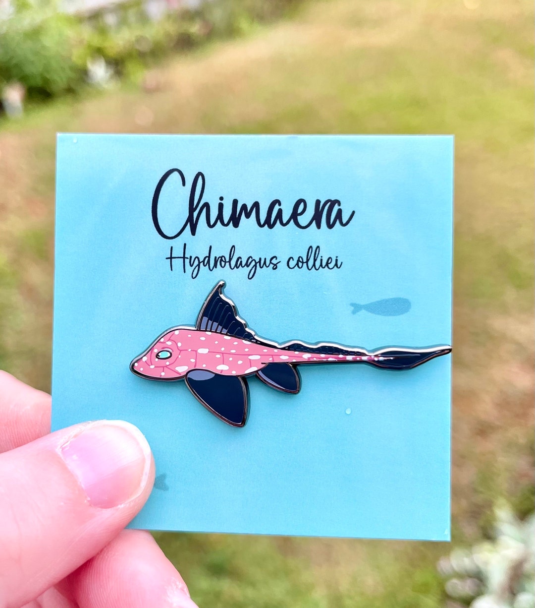 Chimaera (ghost Shark) Hard Enamel Pin | Gifts for Ocean Lovers ...