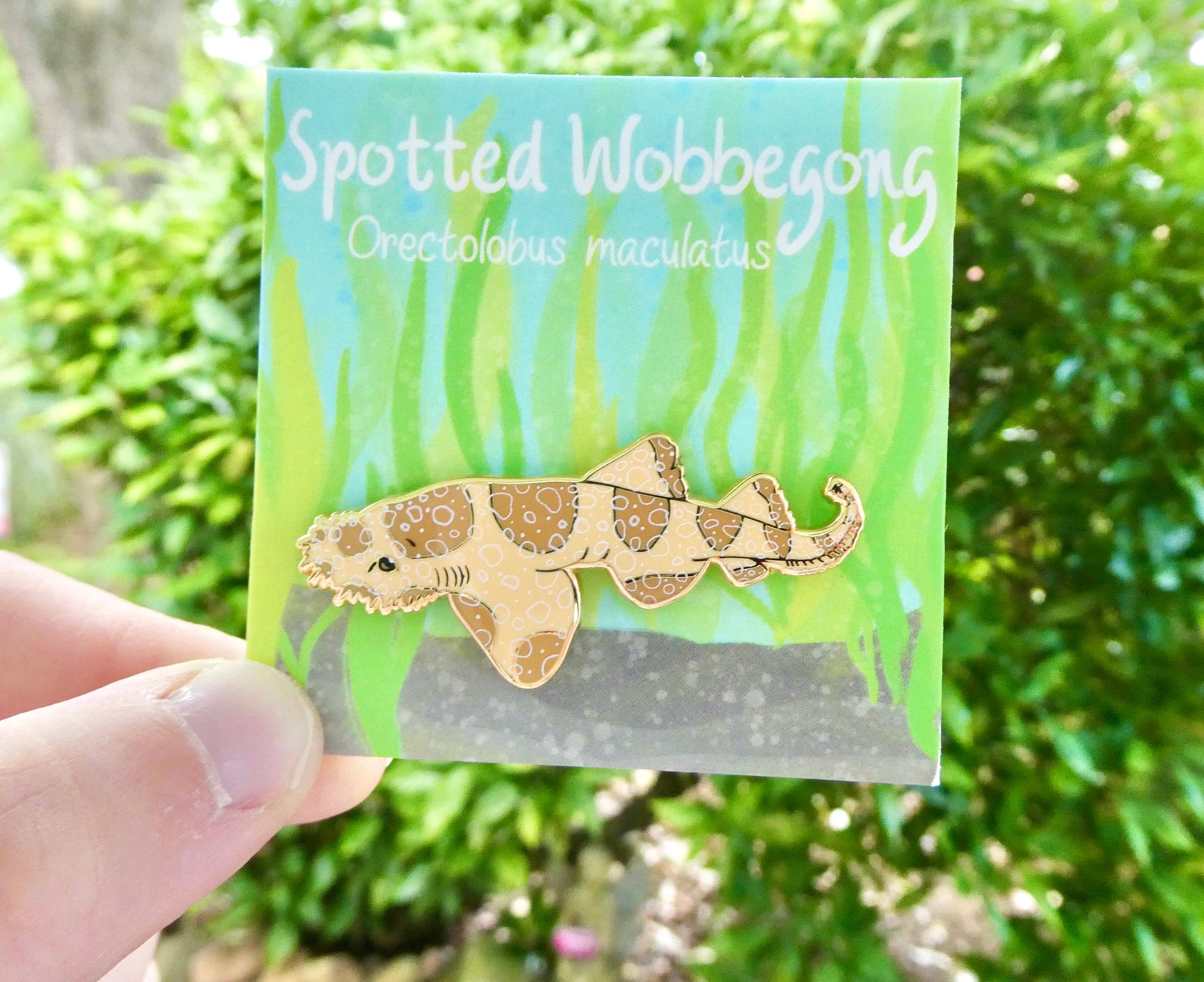 Spotted Wobbegong