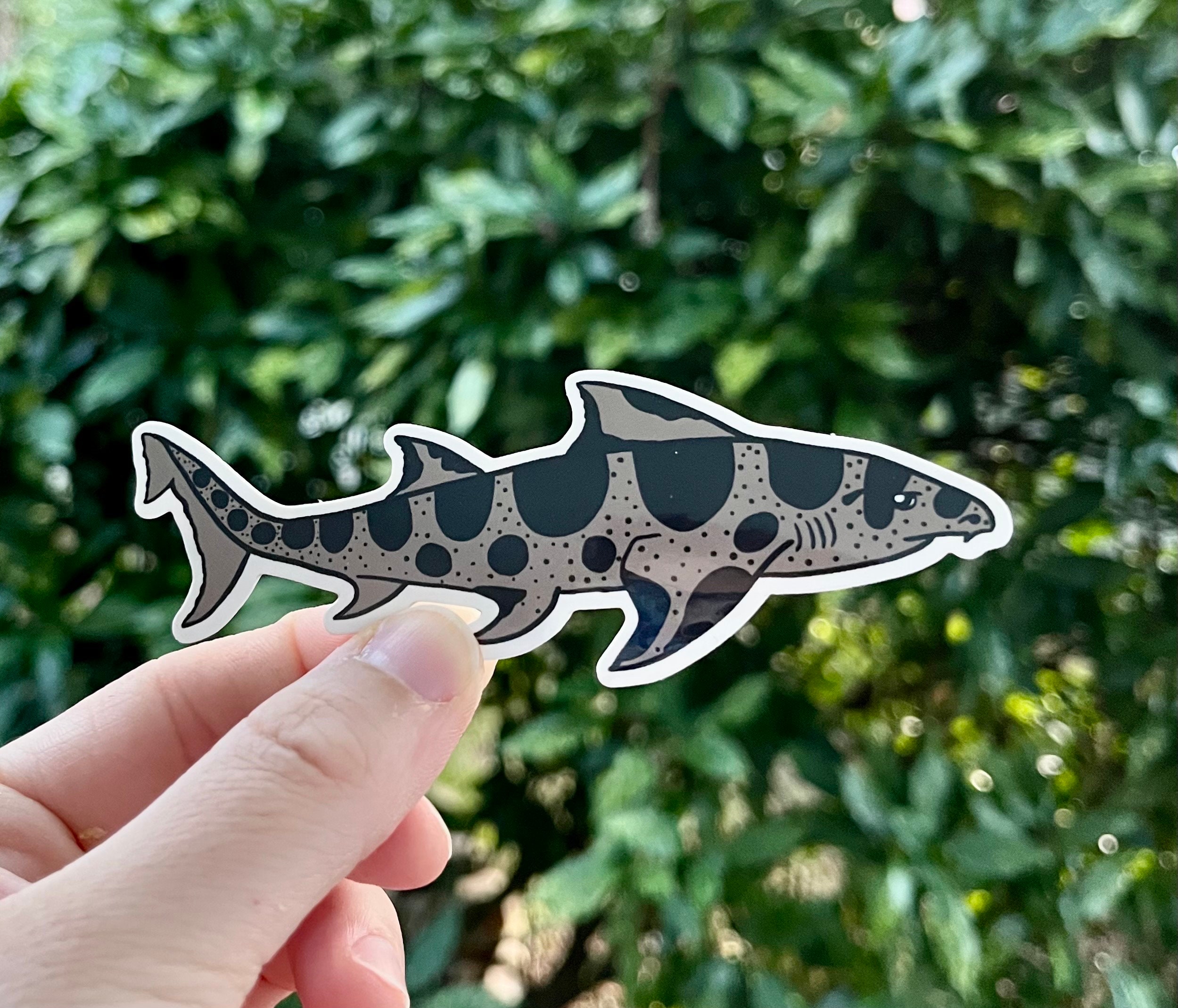 Leopard Shark Waterproof Vinyl Decal | Ocean Sticker | Gifts for Ocean ...