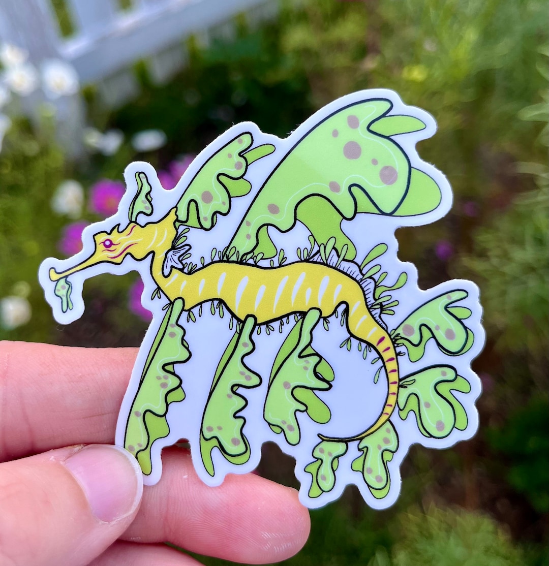 Leafy Seadragon Waterproof Vinyl Decal | Ocean Sticker | Gifts for ...