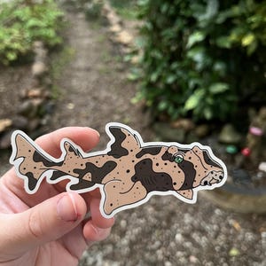 Horn Shark Waterproof Vinyl Decal | Ocean Sticker | Gifts for Ocean ...