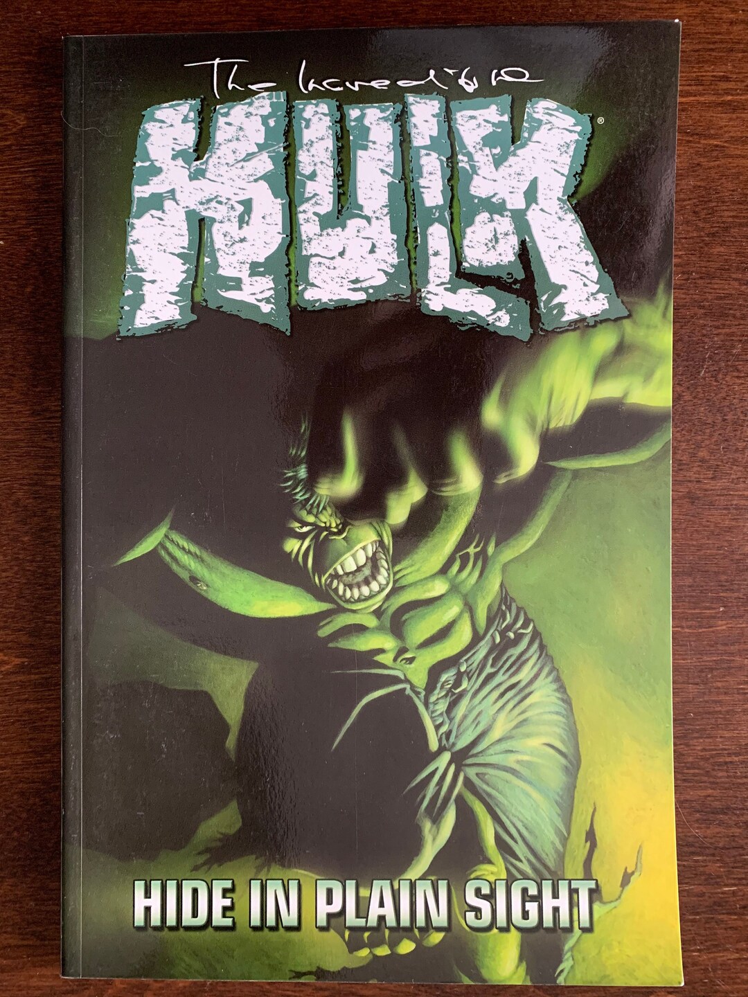 The INCREDIBLE HULK Hide in Plain Sight Vol 5 Marvel 2003 Graphic Novel ...