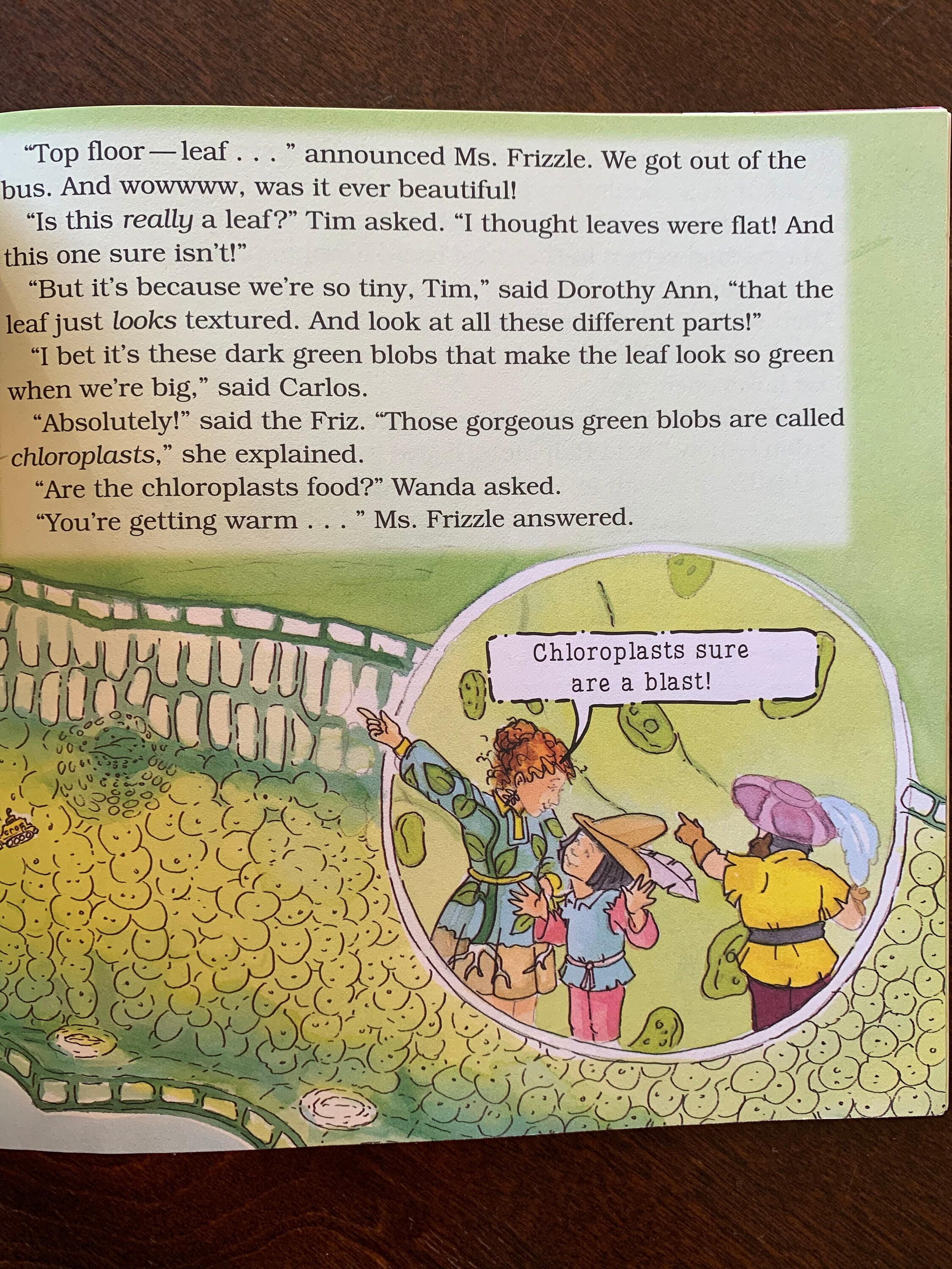 The MAGIC SCHOOL BUS Gets Planted A Book About Photosynthesis ...