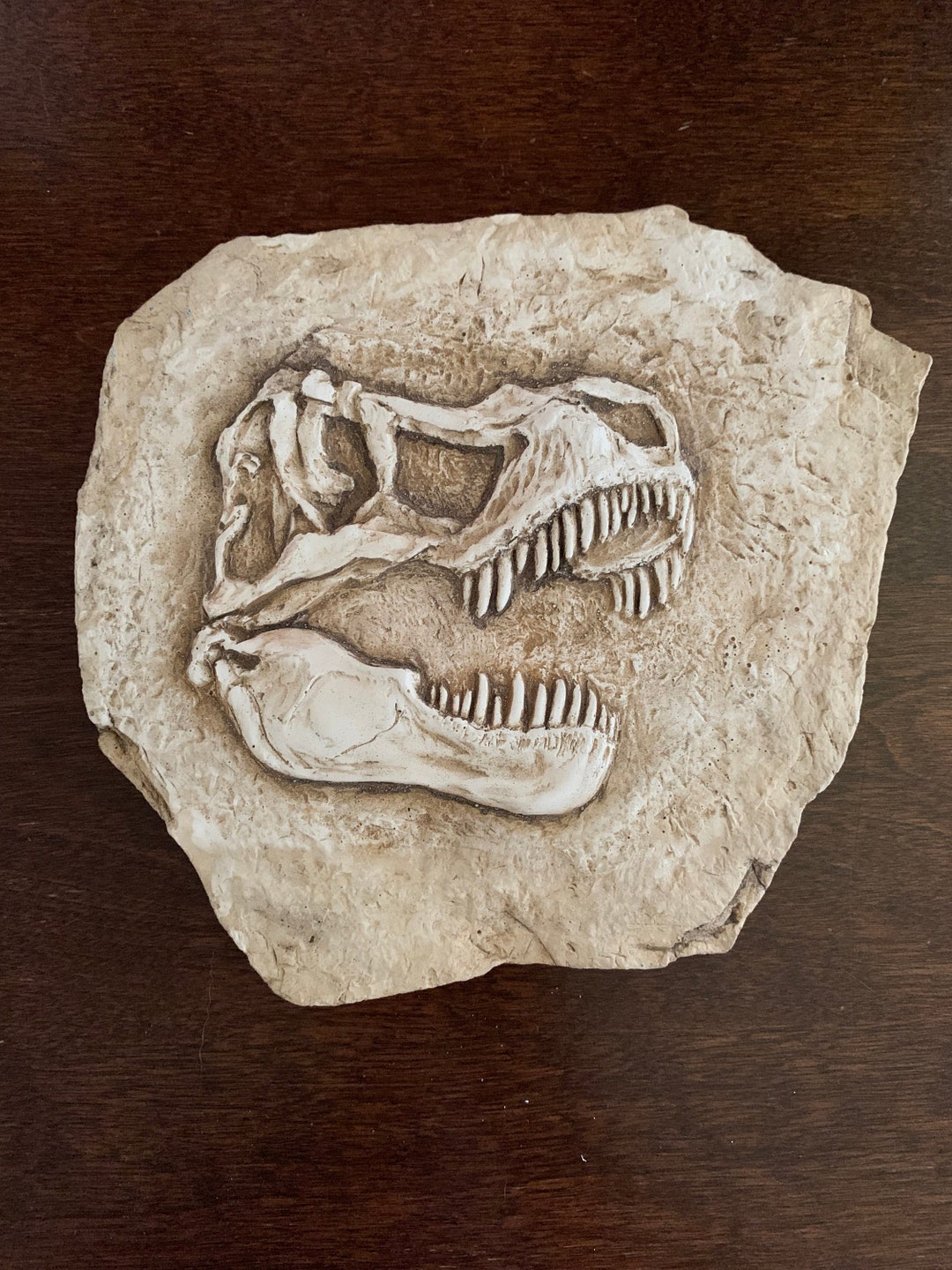 T-REX WALL PLAQUE Dinosaur Plaster Ceramic Wall Hanging With Hanger - Etsy