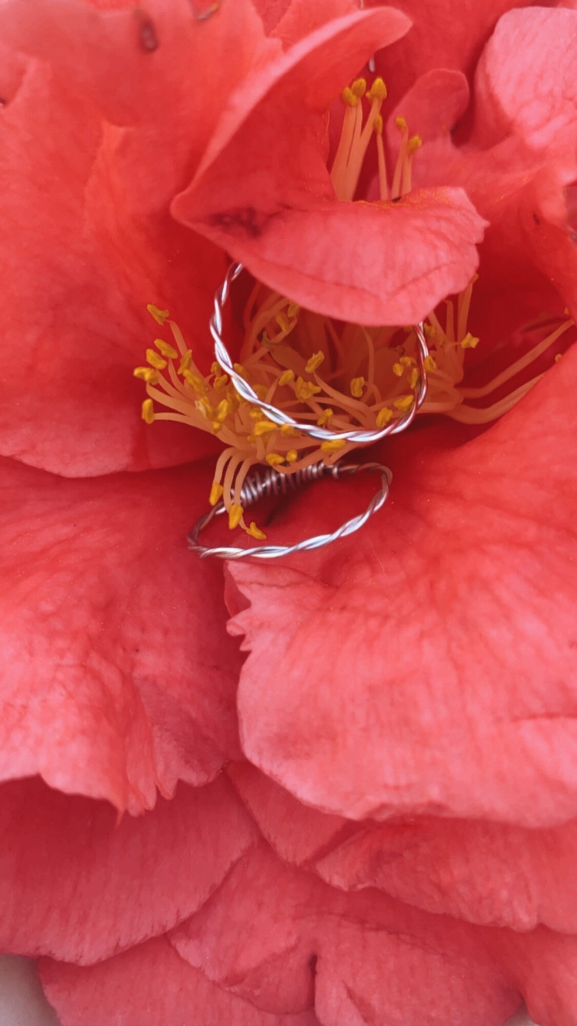 Twisted Wire Ring - Etsy