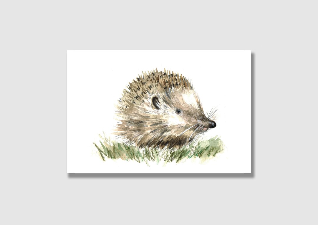 Postcard Hedgehog / Postcard / Greeting Card / Gift Card / Children's ...