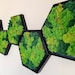 Hexagon Honeycomb Moss Wall Art Decor 30cm Diameter Forever Plants ...