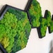 Hexagon Honeycomb Moss Wall Art Decor 30cm Diameter Forever Plants ...