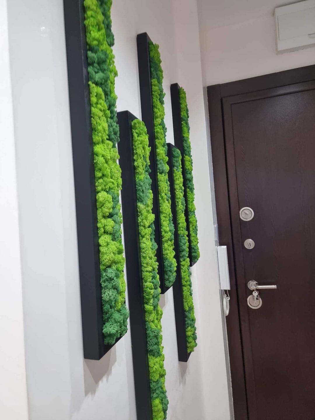 Wooden Panels | Moss Wall Panels | Art Wall Decor | Living Moss Wall ...