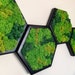 Hexagon Honeycomb Moss Wall Art Decor 30cm Diameter Forever Plants ...