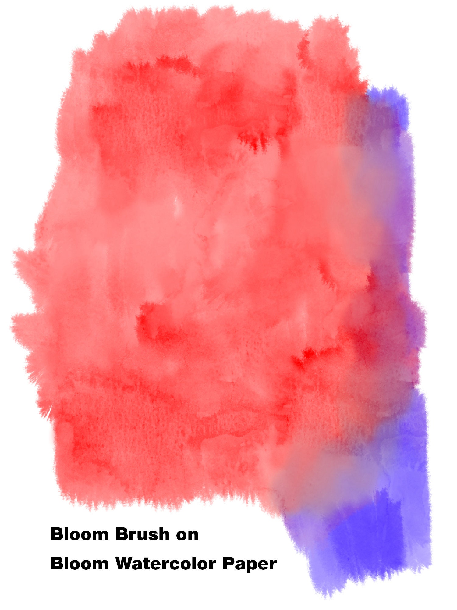 Watercolor Brushes for Clip Studio Paint - Etsy