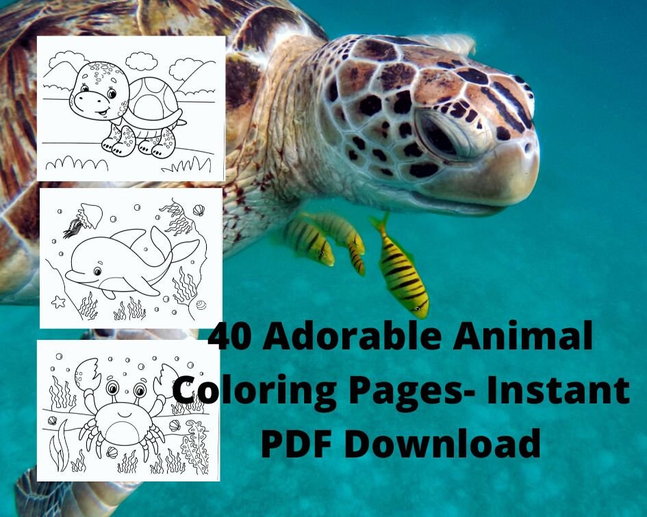 40 Adorable Animal Coloring Pages- Instant PDF Download - Etsy